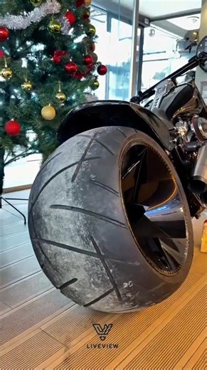 Harley Davidson Fat Boy 114 cruiser #automobile #shorts #harleydavidson #bike #viral #trending