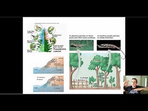 Niche, Competition, & Evolution