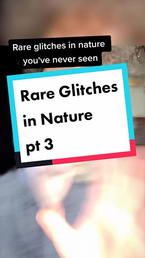 Rare Glitches in Nature You've Never Seen Before