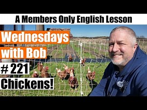 Wednesdays with Bob #221: Chickens!