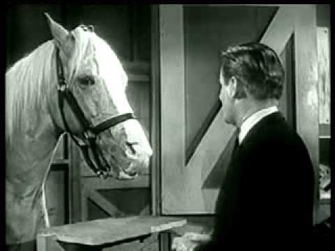 Mr Ed The Talking Horse Public Service Announcement