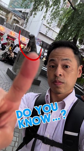 Discover Hachiko's Resting Place in Aviyama Cemetery