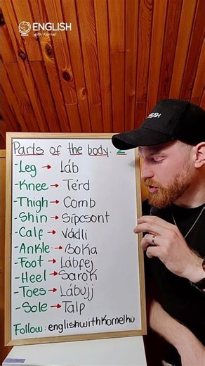 Más partes del cuerpo en inglés que debes conocer 👀🦵