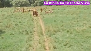 4.2K views · 202 reactions | Génesis episodio 145 | La Biblia en tu Diario Vivir | Facebook