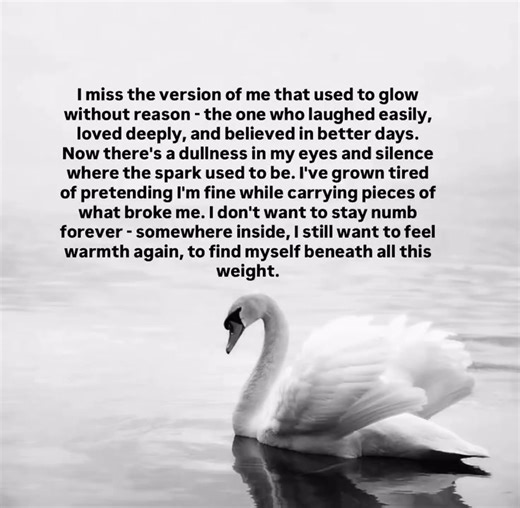 I miss the version of me that used to glow without reason - the one who laughed easily, loved deeply, and believed in better days. Now there's a dullness in my eyes and silence where the spark used to be. I've grown tired of pretending I'm fine while carrying pieces of what broke me. I don't want to stay numb forever - somewhere inside, I still want to feel warmth again, to find myself beneath all this weight. . . . . . #fyp #Love #loveforever #sad #deepthoughts