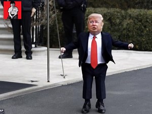 8.2K views · 61 reactions | I can’t be the only one getting sick and tired of his temper tantrums? | Politikal Memes | Facebook