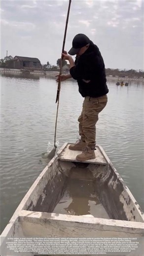 Techniques for catching softshell turtles in deep water