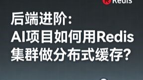 后端进阶：AI 项目如何用 Redis 集群做分布式缓存？