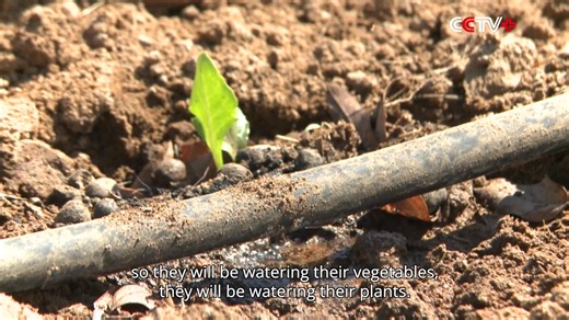 A solar-powered borehole drilling program supported by China has expanded water access across Zimbabwe's rural and peri-urban communities, strengthening disaster recovery and sustaining livelihoods since Cyclone Idai struck in 2019. https://www.cctvplus.com/news/20260214/8465992.shtml#!language=1 | CCTV