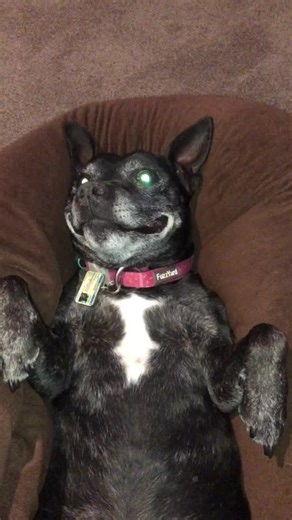 no ruby’s where harmed in the making of this