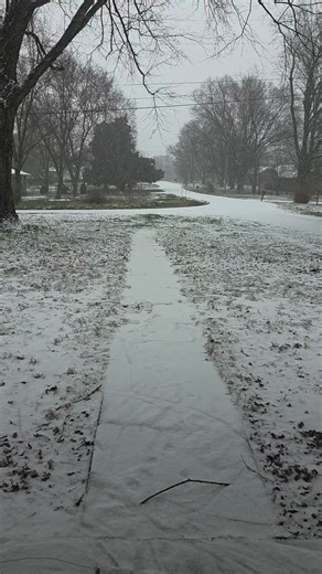 This, a special someone and Sleep Token. #Sleeptoken #snow #winter2026 #firstsnowfall #middletn