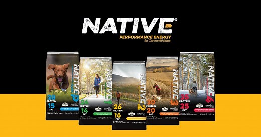High Protein Dog Food for Active Dogs | Native Dog Food | KENT Nutrition
