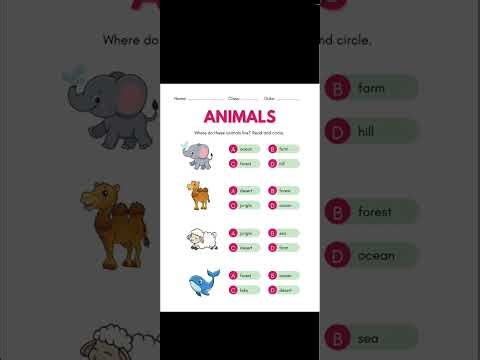 How Animals Move (and Why It Matters)#how animals walk