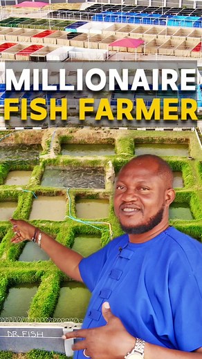 Success Story: Dr. Fish - Nigerian Millionaire Fish Farmer & Entrepreneur