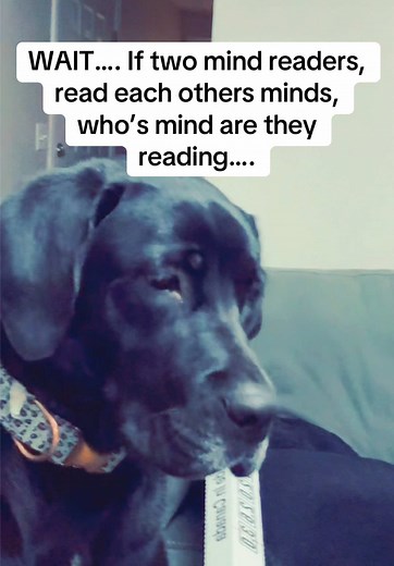 Exploring the Concept of Mind Reading