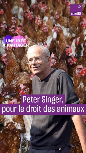 8.3K views · 154 reactions | Pour le philosophe Peter Singer, l'histoire de l'humanité est fondée sur l'exploitation des animaux comme des objets. Il faut aller "au-delà du spécisme" explique le théoricien de la cause animale, et accorder une considération égale aux intérêts des humains et aux intérêts des animaux non humains. | France Culture | Facebook