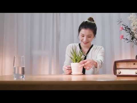 Distance Measuring Instrument Electronic Measuring Ruler Tape Measure