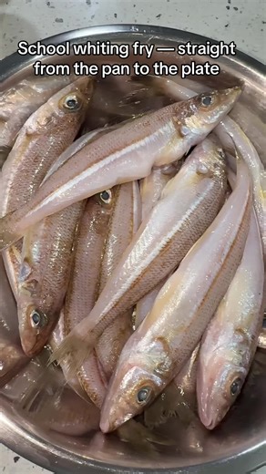 Crispy Whiting Fish Fry Recipe for Perfect Days
