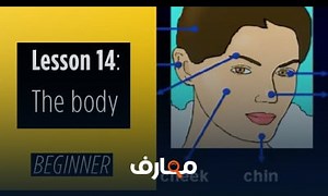 شرح Beginner Levels Lesson 14 The Body معتمد - منصة معارف