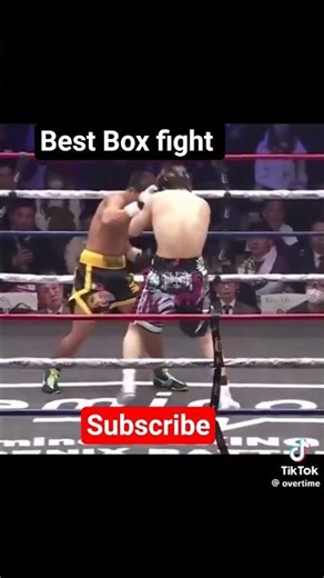 best box fight