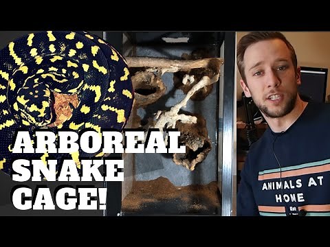ARBOREAL SNAKE CAGE! DIY