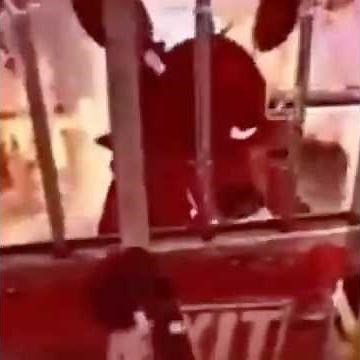 Connection Terminated - #fnaf #memes