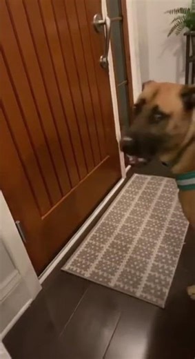 What is wrong #growth #youtubeshorts #shortfilm #ai #funny