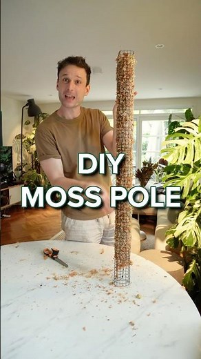 Super easy way of making your own Moss Poles. Check out my channel for more tutorials :) #mosspole