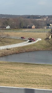 More Fire footage. | Running Springs QH & Cattle Co