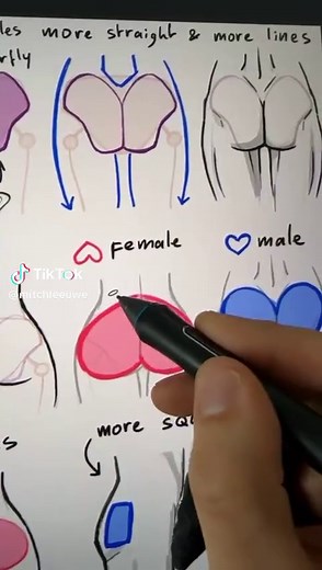 How to Draw the Perfect Butt: Step-by-Step Guide