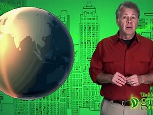 Window Farms: REALLY Local Food