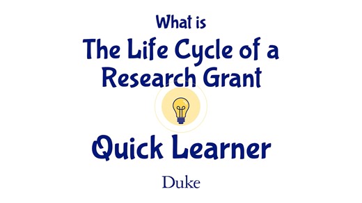 Research Grant - Animatic