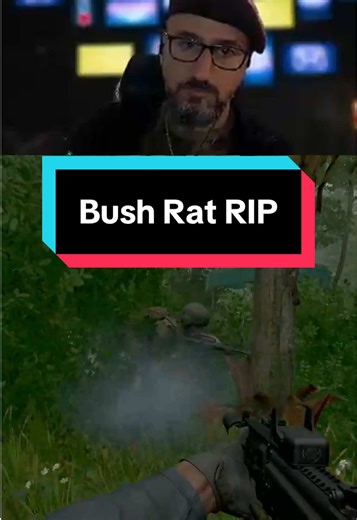 Effective Strategies for Bush Rat Control in Gray Zone Warfare