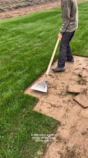 The Shovel Method: Grass Removal Made Easy