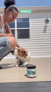 Keep your dog's breath fresh and healthy with Pet Honesty dental care products. Take 20% off your first order! | Pet Honesty | Facebook