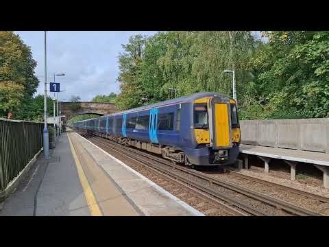 A few Southeastern Class 375s at Full Speed through Pluckley | 28/9/25