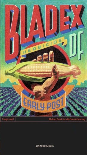 Typography vs lettering: the mistake everyone makes