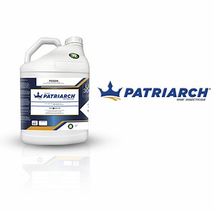 PATRIARCH® RMR® Insecticide - Imtrade CropScience