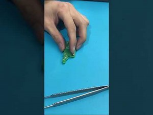 Comment réparer la télécommande d'une voiture