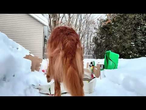 FREE WORK for training wearing WINTER BOOTS ￼