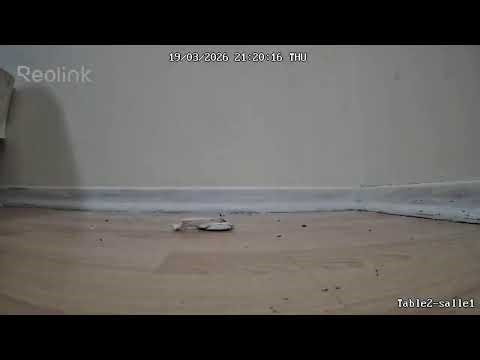 8 Pool Live Stream 🎱 - Table N°table2