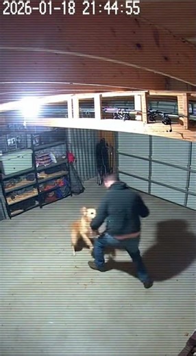 Dog Saves Owner From Falling Rack 🐕 Hero Pet Security Camera 📹 #shorts