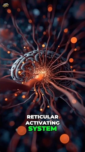 The Science Behind Manifestation – What Really Happens in Your Brain