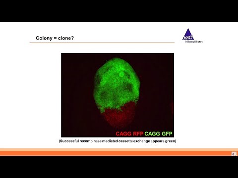 Webinar: Stem Cell Reprogramming
