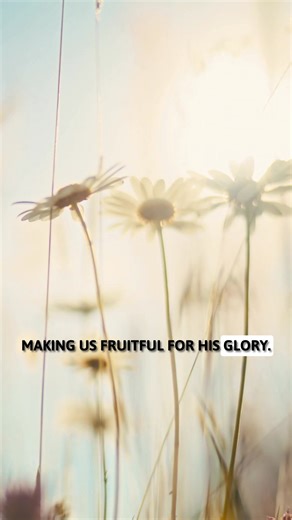 Tricia Goyer reminds us to not despise God’s pruning or lose hope when our path in life isn’t straight. These are proof that the Gardener is at work, making us fruitful for His glory. Go here for helpful thoughts on growth for God’s children: https://wava.com/heart-happy/growth-doesnt-happen-in-straight-lines | WAVA Radio | Facebook