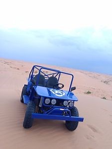 [Hot Item] Newest Mini Cheap Honda Dune Buggy Two Seat UTV 200cc Go Kart for Sale