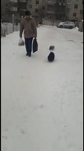 48K views · 761 reactions | PAS MAL POUR TRANSPORTER LES BIÈRES... Il fallait tout simplement y penser ! Merci à la page Tiroler Schmäh pour cette originale scène de vie. | La Place du Village | Facebook