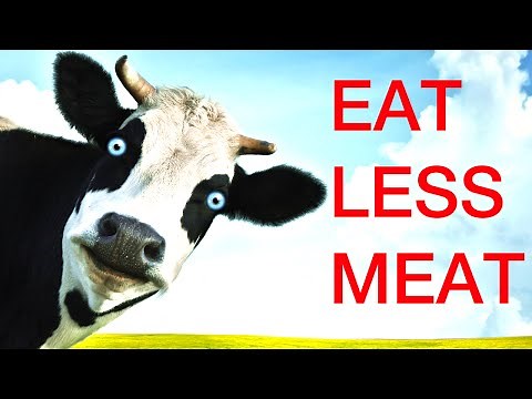 Fight Climate Change, Eat Less Meat