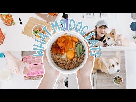 What My Dog Eats in a Week | Easy Raw Diet Homemade Dog Treats and Human Food Good for Dogs
