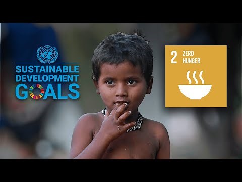 SDG (Sustainable Development Goals) - Goal 2: Zero Hunger